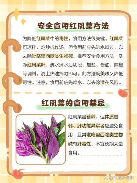 红凤菜是什么菜_红凤菜的功效与作用-第1张图片-山城妙识 红凤菜是什么菜_红凤菜的功效与作用-第1张图片-山城妙识