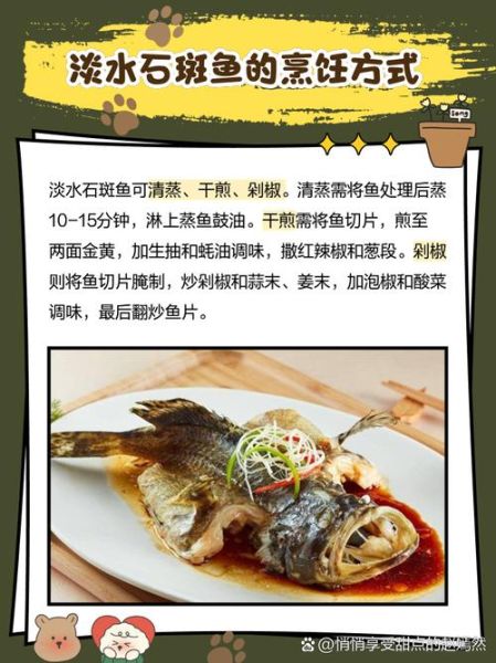 淡水石斑鱼用什么饵料_淡水石斑鱼饵料配方-第2张图片-山城妙识