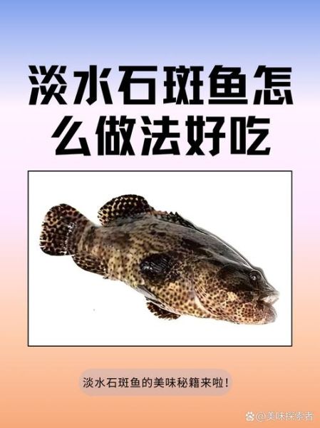 淡水石斑鱼用什么饵料_淡水石斑鱼饵料配方-第1张图片-山城妙识