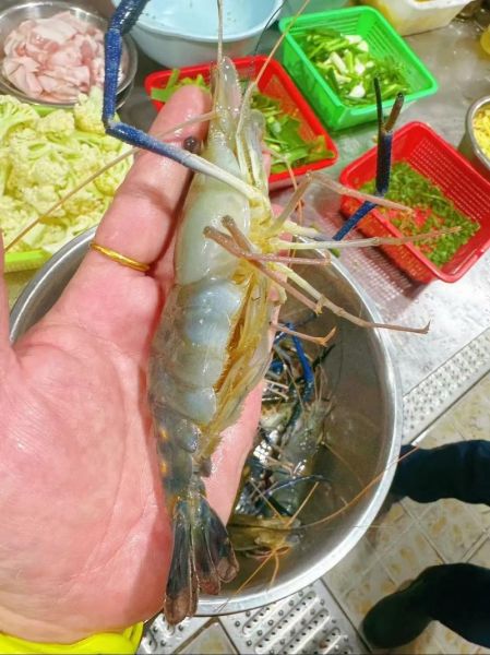 大头虾怎么做好吃_大头虾的营养价值-第2张图片-山城妙识