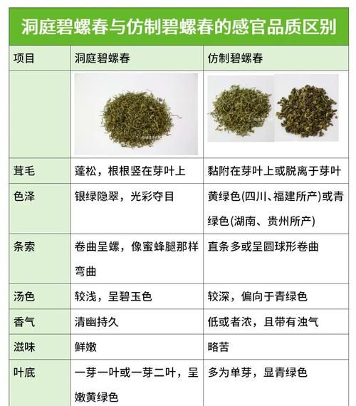 碧螺春图片真假辨别_如何挑选正宗碧螺春-第1张图片-山城妙识 碧螺春图片真假辨别_如何挑选正宗碧螺春-第1张图片-山城妙识
