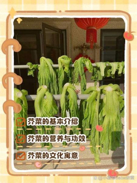 芥菜怎么读_芥菜是发物吗-第1张图片-山城妙识