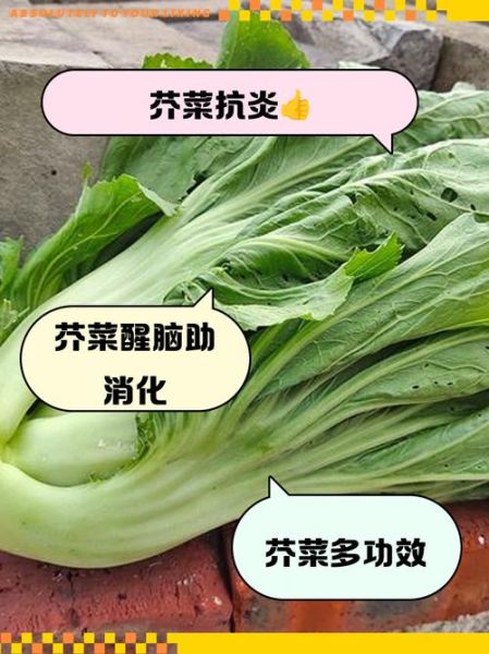 芥菜怎么读_芥菜是发物吗-第3张图片-山城妙识