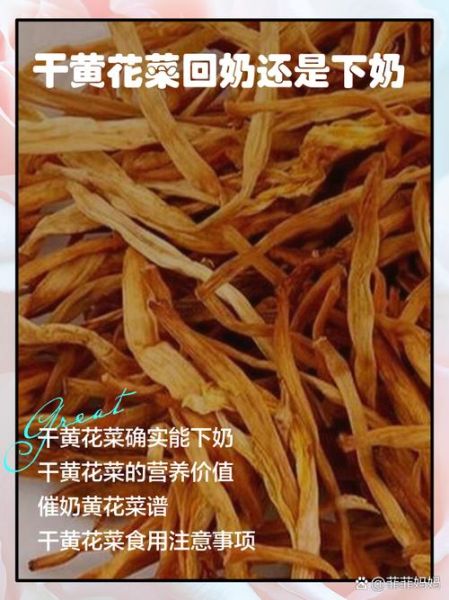 黄花菜怎么吃下奶_黄花菜下奶做法大全-第1张图片-山城妙识
