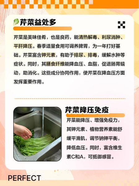 芹菜能降血压吗_芹菜降血压是真的吗-第1张图片-山城妙识