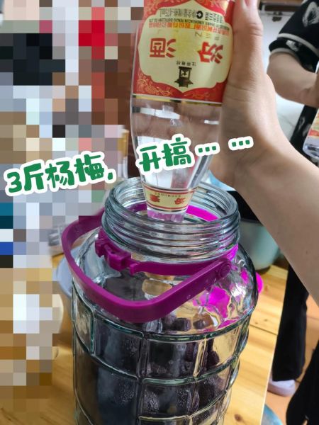 自制杨梅酒的危害_杨梅酒中毒症状-第2张图片-山城妙识