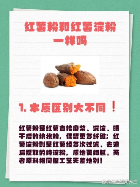 红薯粉淀粉怎么做_红薯淀粉和红薯粉区别-第3张图片-山城妙识