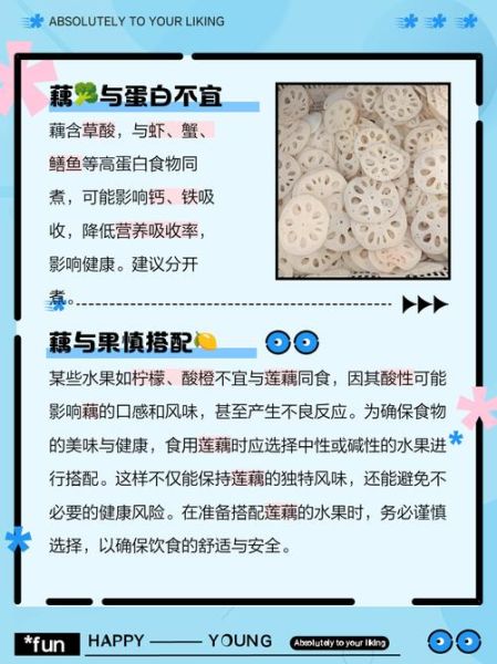 莲藕不能和什么一起吃_莲藕的6大禁忌有哪些-第1张图片-山城妙识