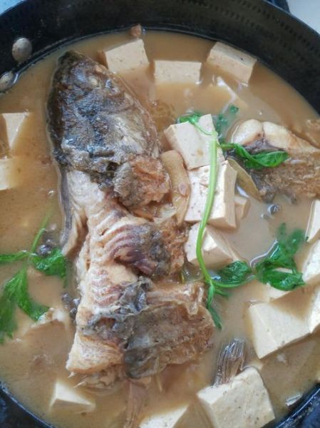 炖鱼什么鱼好吃_哪种鱼炖汤最鲜-第2张图片-山城妙识