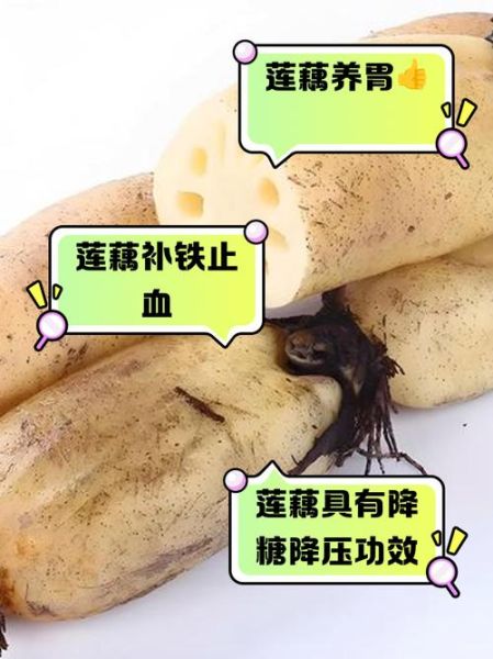 莲藕不能和什么一起吃_莲藕的6大禁忌有哪些-第3张图片-山城妙识