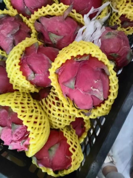 红心火龙果多少钱一斤_红心火龙果价格走势-第2张图片-山城妙识