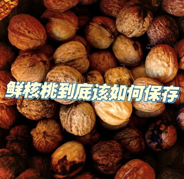 新鲜核桃怎么吃_新鲜核桃怎么保存-第1张图片-山城妙识 新鲜核桃怎么吃_新鲜核桃怎么保存-第1张图片-山城妙识