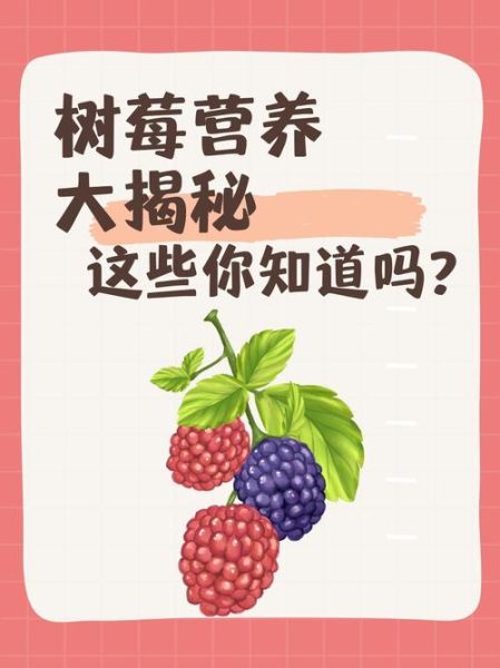 树莓的功效与作用禁忌_孕妇能吃吗-第1张图片-山城妙识 树莓的功效与作用禁忌_孕妇能吃吗-第1张图片-山城妙识