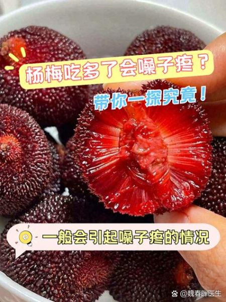 杨梅吃多了会上火吗_一天吃多少颗合适-第1张图片-山城妙识 杨梅吃多了会上火吗_一天吃多少颗合适-第1张图片-山城妙识