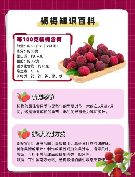 杨梅吃多了会上火吗_一天吃多少颗合适-第2张图片-山城妙识 杨梅吃多了会上火吗_一天吃多少颗合适-第2张图片-山城妙识