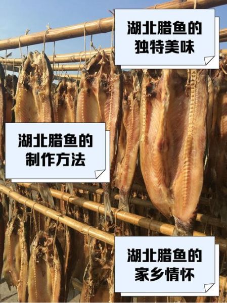 蜡鱼是什么鱼_蜡鱼怎么做好吃-第1张图片-山城妙识