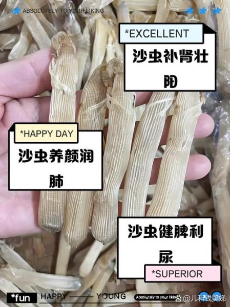 沙虫对儿童有什么功效_沙虫适合多大孩子吃-第1张图片-山城妙识