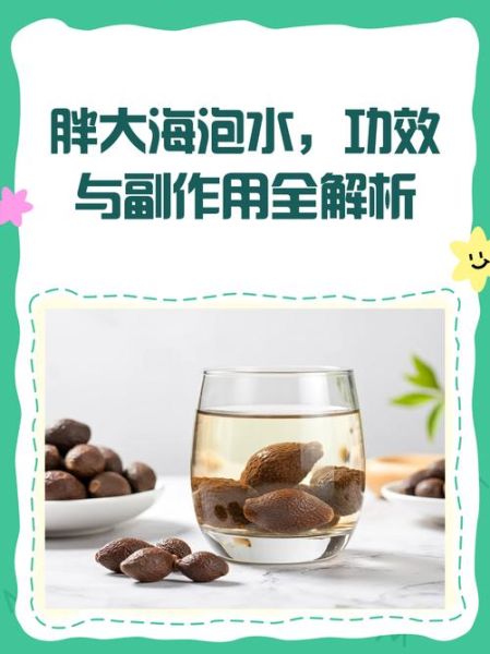 胖大海怎么泡_胖大海一次泡几颗-第3张图片-山城妙识 胖大海怎么泡_胖大海一次泡几颗-第3张图片-山城妙识