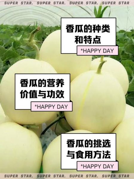 香瓜的营养价值_香瓜有哪些营养成分-第2张图片-山城妙识