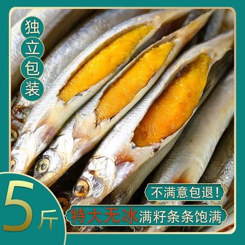 多春鱼是淡水鱼还是海水鱼_多春鱼产地在哪里-第1张图片-山城妙识 多春鱼是淡水鱼还是海水鱼_多春鱼产地在哪里-第1张图片-山城妙识