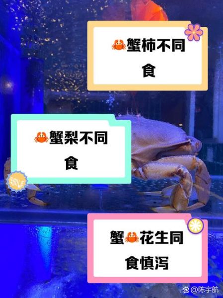 螃蟹不能和什么一起吃_螃蟹相克食物有哪些-第3张图片-山城妙识 螃蟹不能和什么一起吃_螃蟹相克食物有哪些-第3张图片-山城妙识