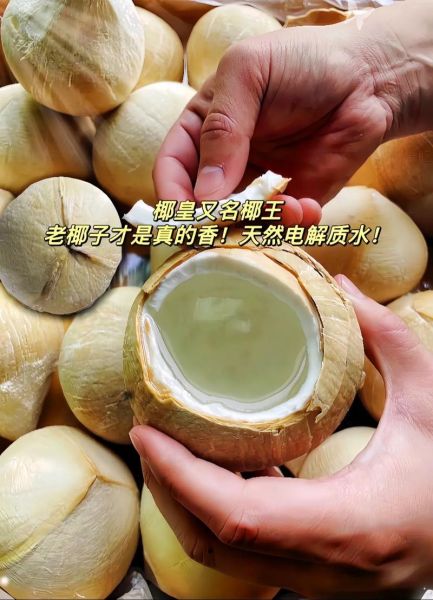 椰浆怎么做成椰汁_椰浆兑水比例是多少-第3张图片-山城妙识 椰浆怎么做成椰汁_椰浆兑水比例是多少-第3张图片-山城妙识