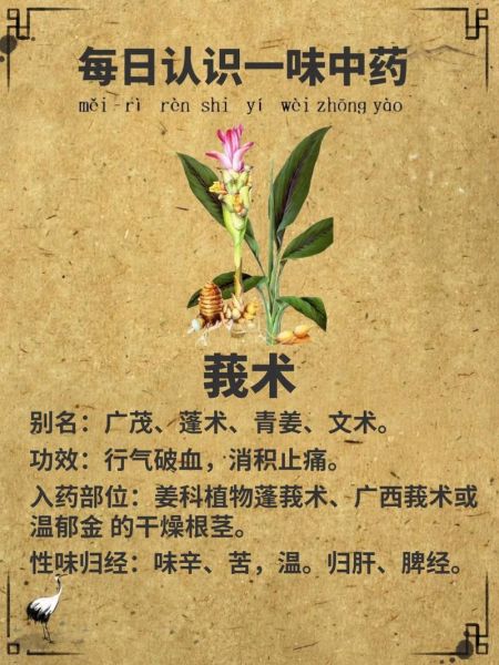 莪术的功效与作用及禁忌_莪术能长期服用吗-第2张图片-山城妙识 莪术的功效与作用及禁忌_莪术能长期服用吗-第2张图片-山城妙识