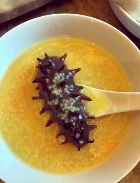 海参小米粥海参煮多久_海参下锅最佳时间-第1张图片-山城妙识 海参小米粥海参煮多久_海参下锅最佳时间-第1张图片-山城妙识