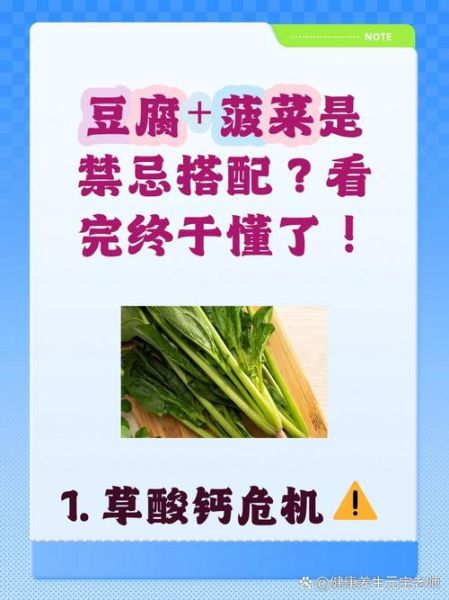 菠菜豆腐一起吃会中毒吗_菠菜豆腐相克真相-第3张图片-山城妙识 菠菜豆腐一起吃会中毒吗_菠菜豆腐相克真相-第3张图片-山城妙识