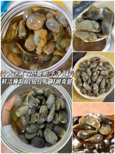 黄泥螺是海鲜吗_黄泥螺属于什么类-第3张图片-山城妙识 黄泥螺是海鲜吗_黄泥螺属于什么类-第3张图片-山城妙识