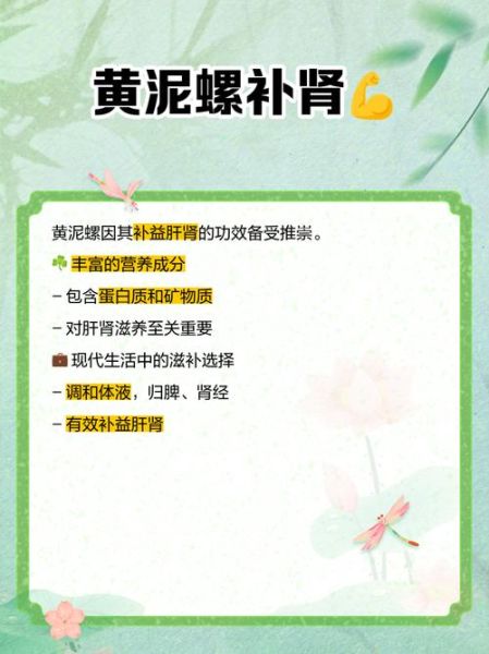 黄泥螺是海鲜吗_黄泥螺属于什么类-第1张图片-山城妙识 黄泥螺是海鲜吗_黄泥螺属于什么类-第1张图片-山城妙识