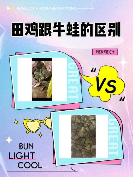 青蛙跟田鸡是同一种吗_青蛙和田鸡的区别-第1张图片-山城妙识
