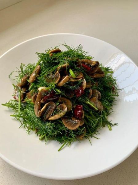 茴香怎么做好吃_茴香的家常做法大全-第3张图片-山城妙识 茴香怎么做好吃_茴香的家常做法大全-第3张图片-山城妙识