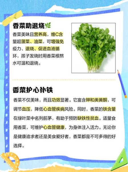香菜的功效与作用_香菜吃多了有什么害处-第3张图片-山城妙识 香菜的功效与作用_香菜吃多了有什么害处-第3张图片-山城妙识