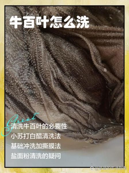 牛百叶怎么清洗_牛百叶图片做法大全-第1张图片-山城妙识 牛百叶怎么清洗_牛百叶图片做法大全-第1张图片-山城妙识