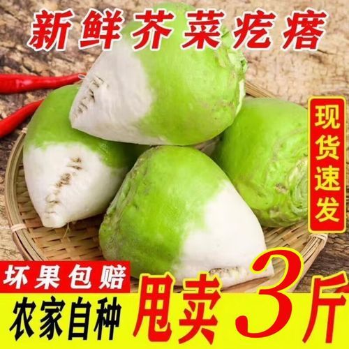 大头菜是什么菜做的_大头菜和芥菜疙瘩的区别-第3张图片-山城妙识 大头菜是什么菜做的_大头菜和芥菜疙瘩的区别-第3张图片-山城妙识