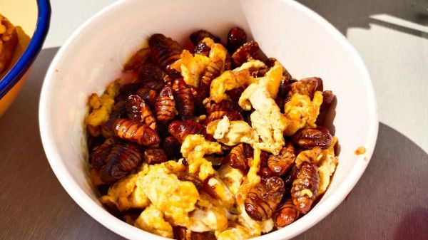 炒蚕蛹怎么做好吃_家常做法视频步骤-第3张图片-山城妙识 炒蚕蛹怎么做好吃_家常做法视频步骤-第3张图片-山城妙识