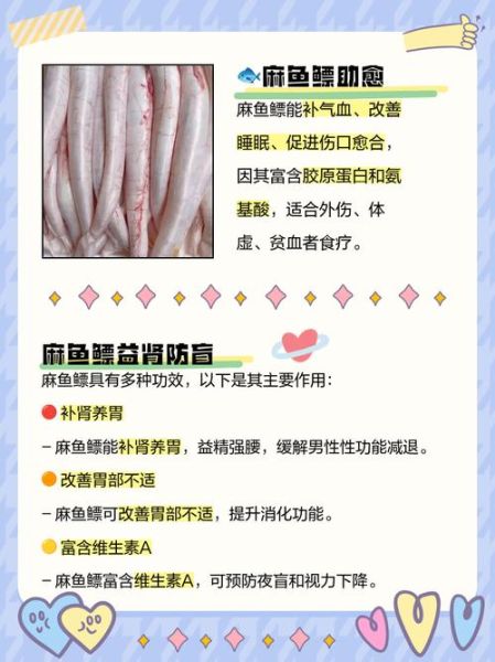 鱼鳔怎么读_鱼鳔的功效与作用-第3张图片-山城妙识 鱼鳔怎么读_鱼鳔的功效与作用-第3张图片-山城妙识