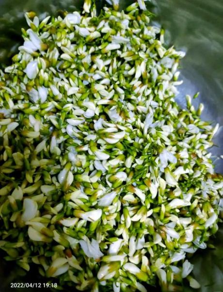 蒸槐花怎么蒸_蒸槐花需要焯水吗-第2张图片-山城妙识