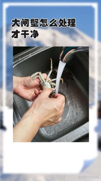 大闸蟹怎么清洗_大闸蟹的做法步骤-第2张图片-山城妙识