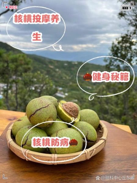 盘核桃有什么好处_盘核桃的功效与作用-第3张图片-山城妙识
