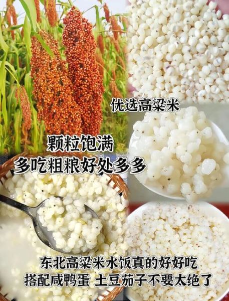 高粱米饭放多少水_高粱米饭水米比例-第1张图片-山城妙识 高粱米饭放多少水_高粱米饭水米比例-第1张图片-山城妙识
