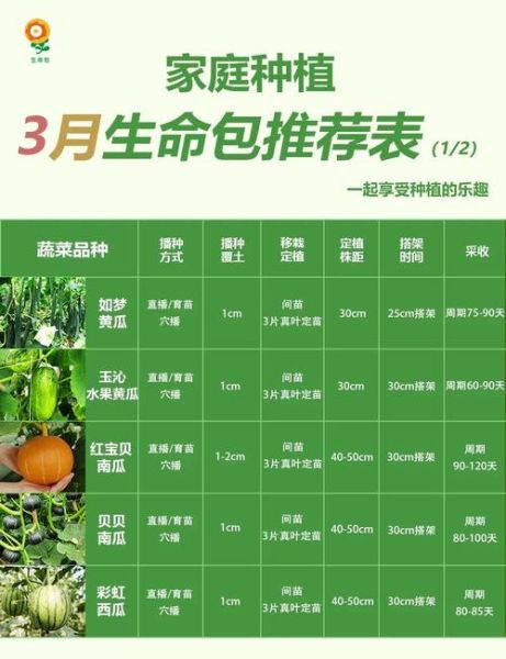 蔬菜种类大全表_哪些蔬菜适合阳台种植-第2张图片-山城妙识