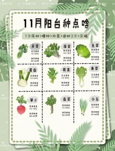 蔬菜种类大全表_哪些蔬菜适合阳台种植-第1张图片-山城妙识