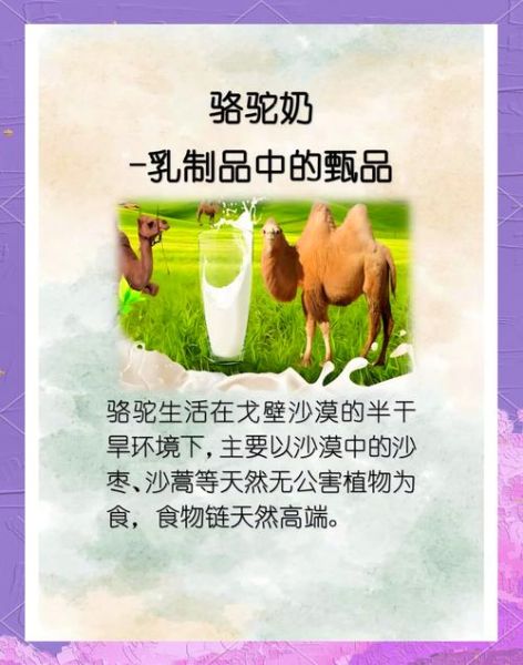 骆驼奶的功效与作用_骆驼奶的禁忌有哪些-第3张图片-山城妙识