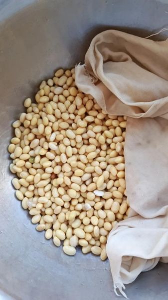 黄豆要泡多久_泡黄豆的正确方法-第2张图片-山城妙识 黄豆要泡多久_泡黄豆的正确方法-第2张图片-山城妙识