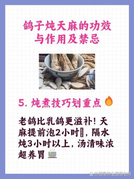 鸽子炖天麻汤的功效与禁忌_孕妇能喝吗-第1张图片-山城妙识 鸽子炖天麻汤的功效与禁忌_孕妇能喝吗-第1张图片-山城妙识