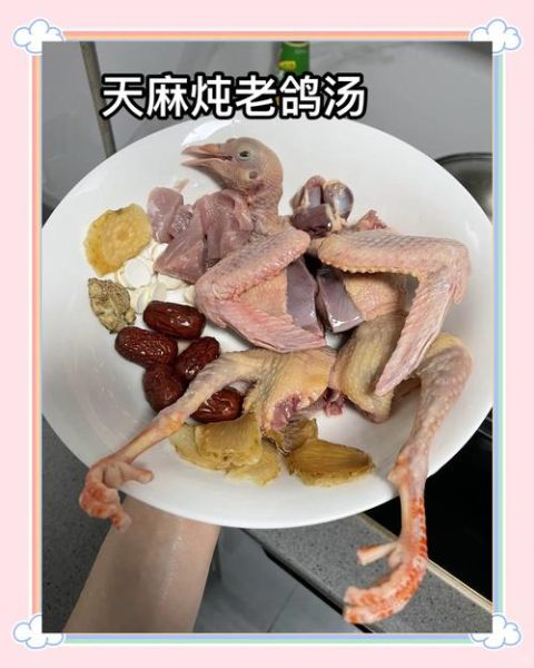 鸽子炖天麻汤的功效与禁忌_孕妇能喝吗-第3张图片-山城妙识 鸽子炖天麻汤的功效与禁忌_孕妇能喝吗-第3张图片-山城妙识