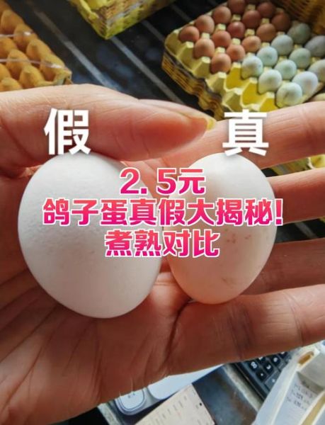 鸽子蛋图片_如何分辨真假-第1张图片-山城妙识 鸽子蛋图片_如何分辨真假-第1张图片-山城妙识