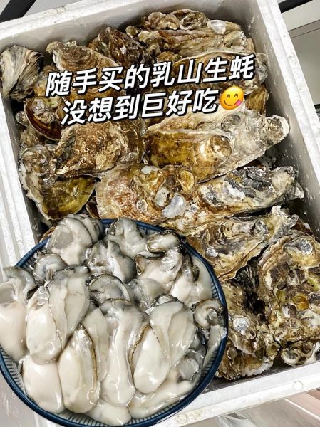 生蚝什么季节最肥_生蚝什么季节最好吃-第3张图片-山城妙识 生蚝什么季节最肥_生蚝什么季节最好吃-第3张图片-山城妙识